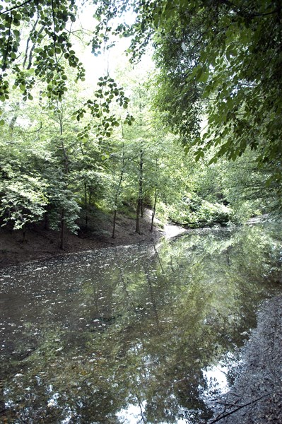 Fontanile Nuovo di Bareggio