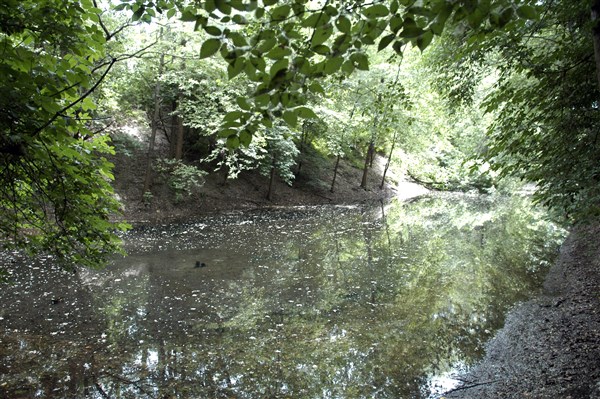 Fontanile Nuovo di Bareggio