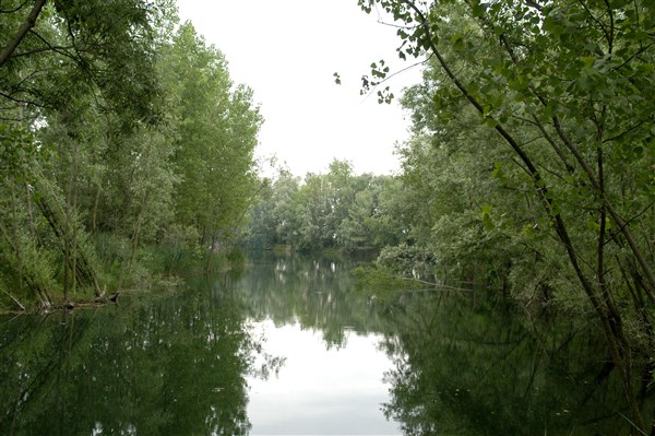 Fontanile Nuovo di Bareggio